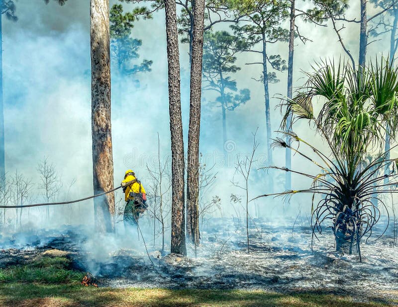 Florida Forest Service Prescribed Burn Map Stock Photos - Free ...
