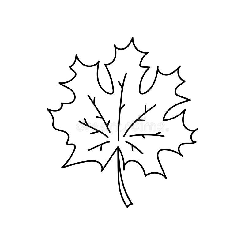 Forest Maple Leaf Isolated. Vector Illustration. Black and White Stock ...