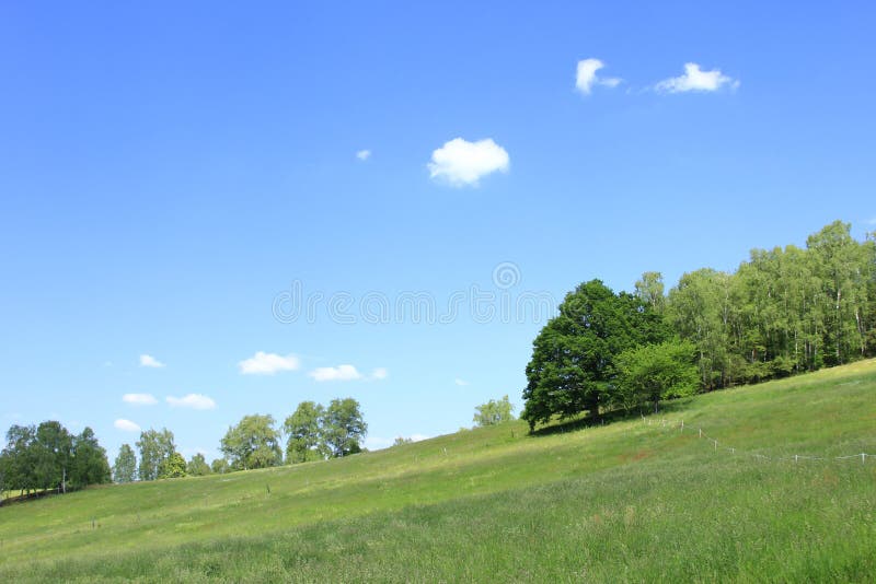 Forest and meadow stock image. Image of hill, pictorial - 25232993