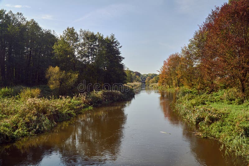Forest and Meadow on the River during Autumn Stock Image - Image of ...