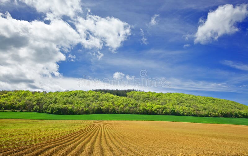 Forest Meadows stock image. Image of meadows, view, autumn - 143141619