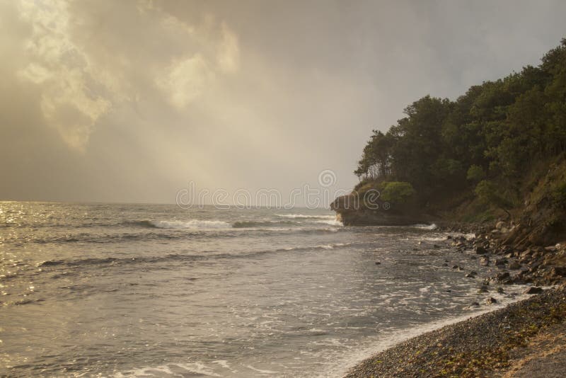 Forest meets sea stock image. Image of shimmer, beautiful - 24294433