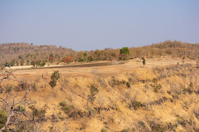 Forest of Mhow Tehsil District Indore and Maheshwar Tehsil District ...