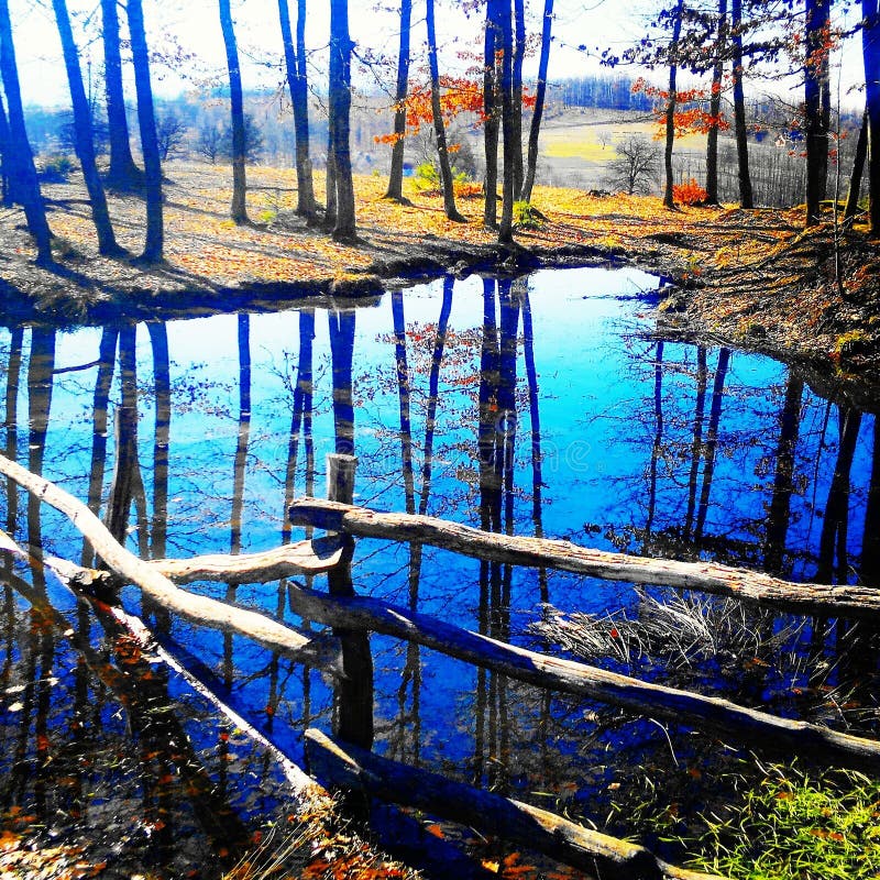 Forest mirror stock image. Image of heaven, mirror, heart - 198871059