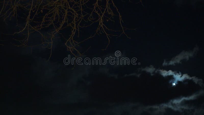 Real Time Video of Beautiful Night Sky with Full Moon and Clouds. Stock ...