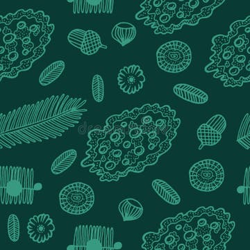 Moss Pattern Stock Illustrations – 8,216 Moss Pattern Stock ...