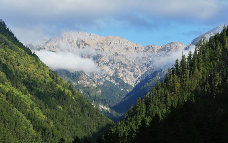 Forest and mountain stock photo. Image of beauty, china - 13956516