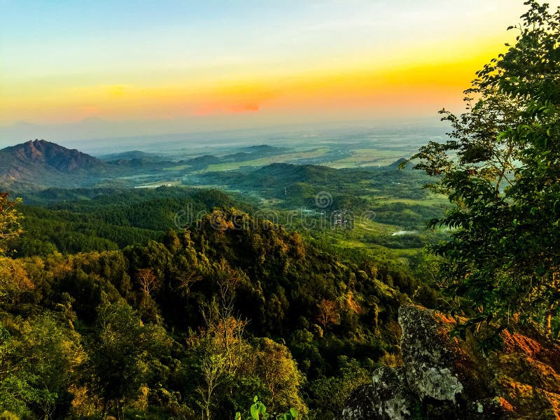 Forest on the Mountain stock image. Image of mountain - 102774251