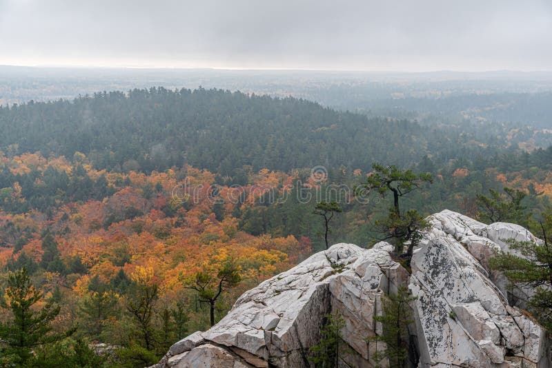 Forest and Mountain in Fall Time Stock Photo - Image of park, mountain ...