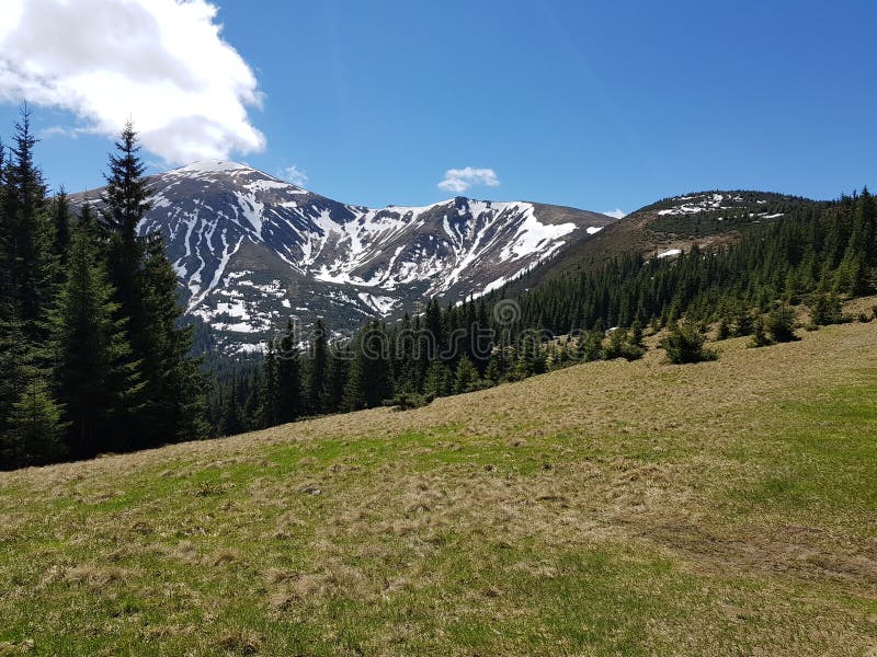 Forest and Mountain of Goverla Stock Photo - Image of park, clouds ...