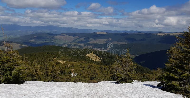 Forest and Mountain of Goverla Stock Image - Image of landscape, nature ...