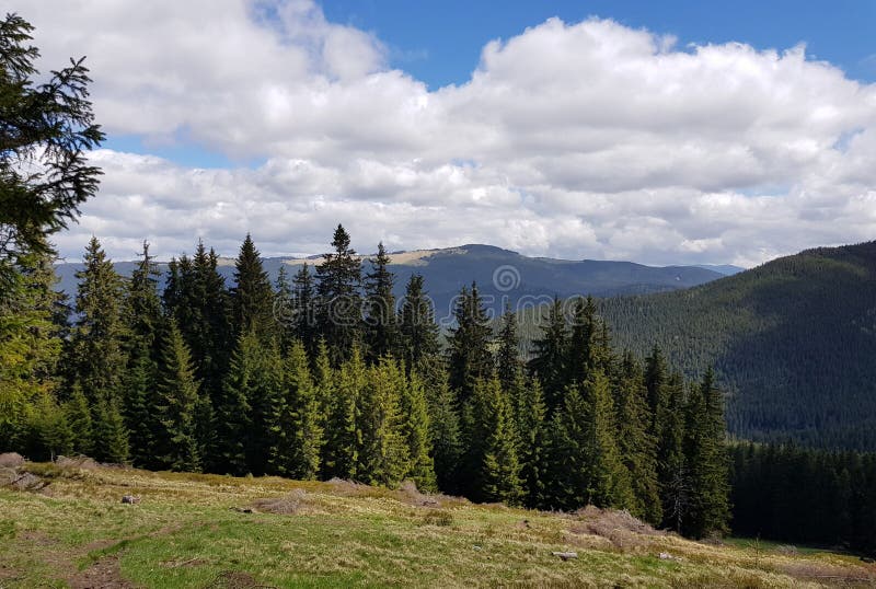 Forest and Mountain of Goverla Stock Photo - Image of beautiful, range ...