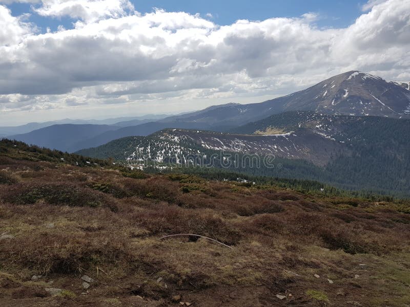 Forest and Mountain of Goverla Stock Photo - Image of edge, path: 99965210