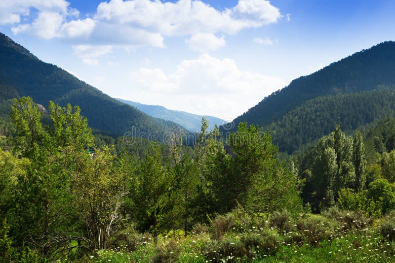 Forest mountain landscape stock photo. Image of mountain - 50160294
