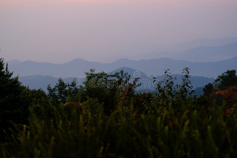 Forest Mountain Landscape View at Dusk Stock Image - Image of nature ...