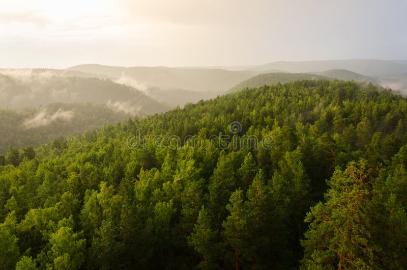 Forest on the Mountain Light Fall on Clearing Mists at Sunset Sky ...