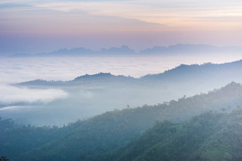 Forest Mountain Mist and the Sky Stock Image - Image of lush, sunlight ...