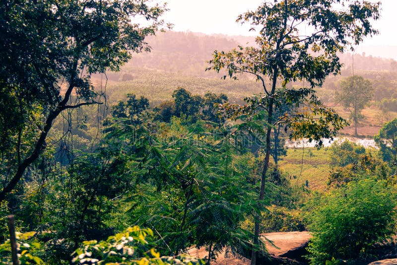 Forest and mountain range. stock photo. Image of decorative - 231378096