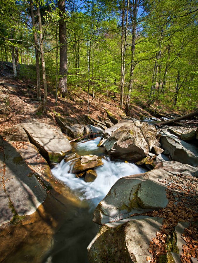 Forest mountain river stock photo. Image of rocks, nature - 19347026