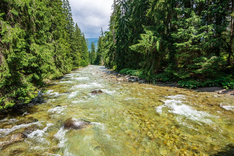 Forest Mountain River with Waterfall Over the Rocks Stock Photo - Image ...