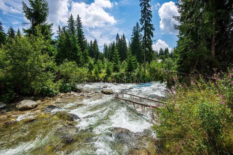 Forest Mountain River with Waterfall Over the Rocks Stock Image - Image ...