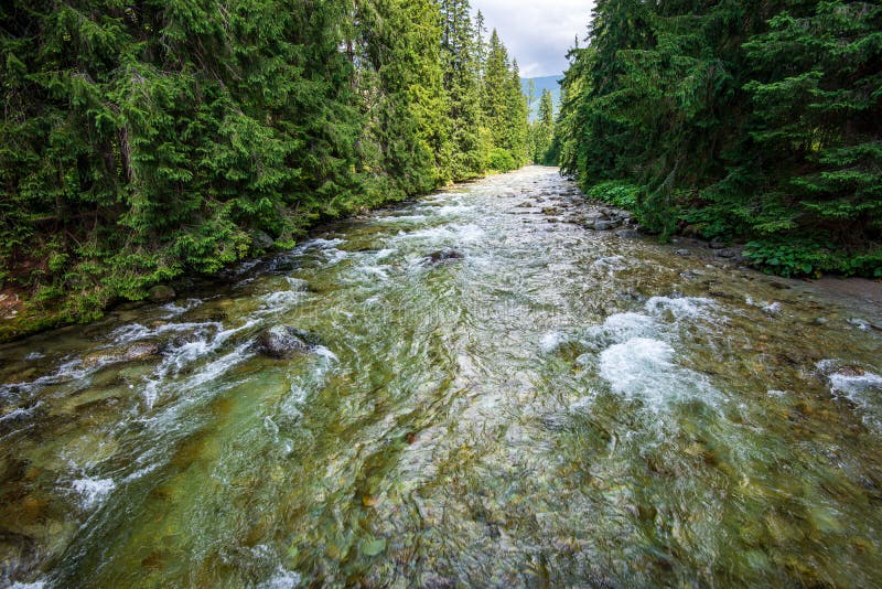 Forest Mountain River with Waterfall Over the Rocks Stock Image - Image ...