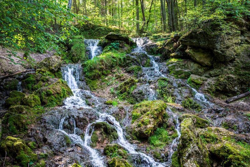 Forest Mountain River with Waterfall Over the Rocks Stock Image - Image ...