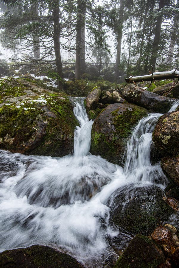 Forest Mountain River with Waterfall Over the Rocks Stock Image - Image ...
