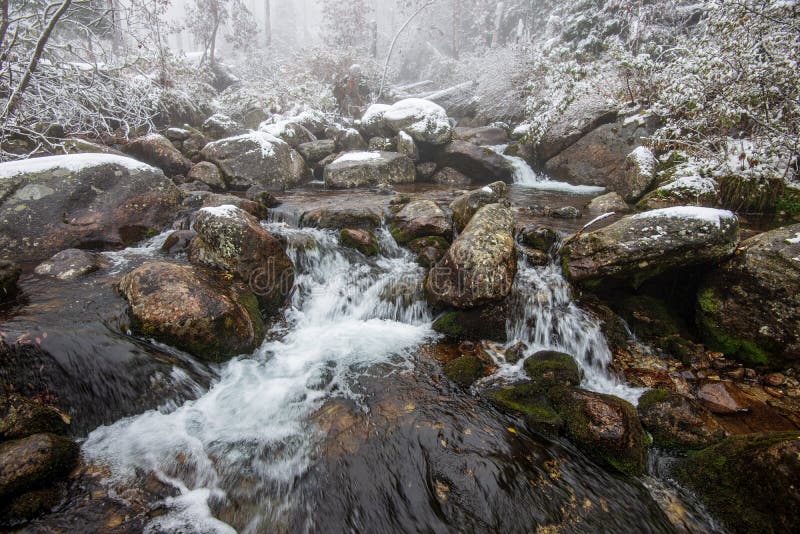Forest Mountain River with Waterfall Over the Rocks Stock Photo - Image ...