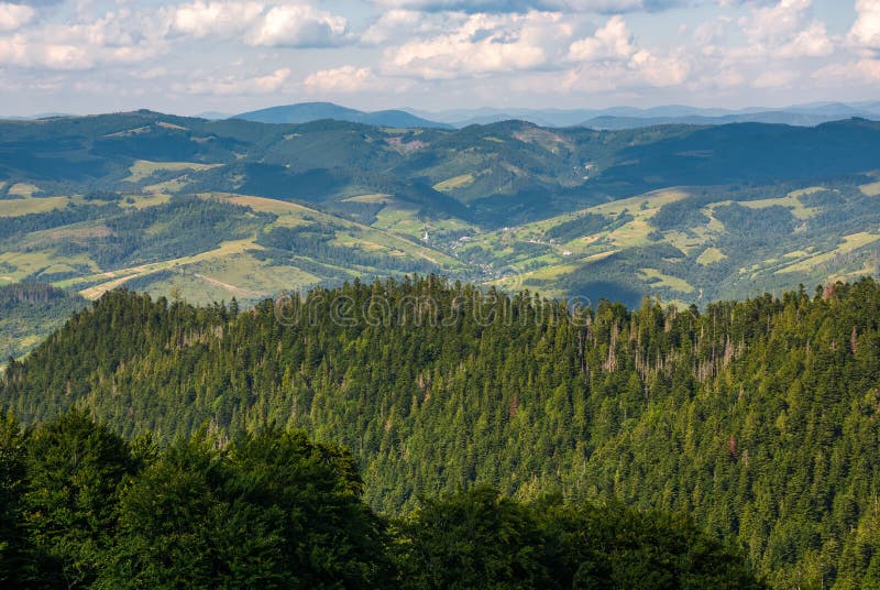 Forest on a Mountain Slope Viewed from the Top Stock Image - Image of ...