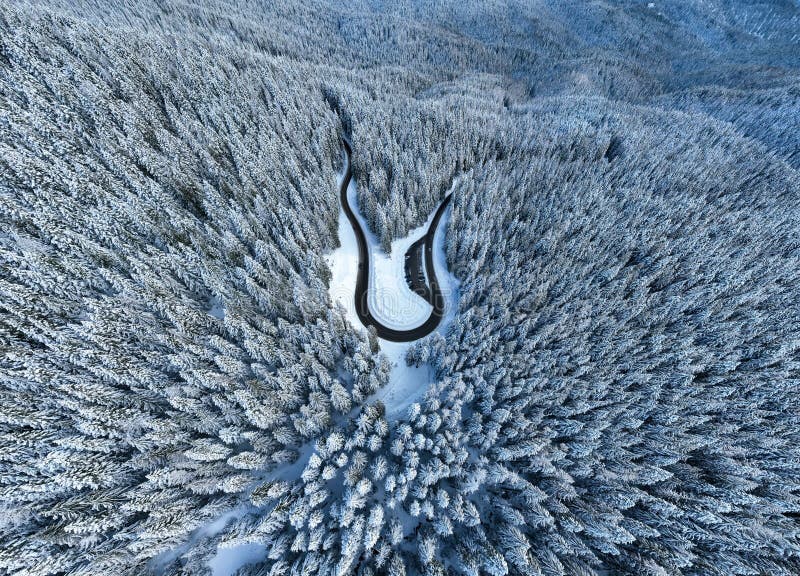 Forest Mountain Spokane Road Above Turn Stock Image - Image of tree ...