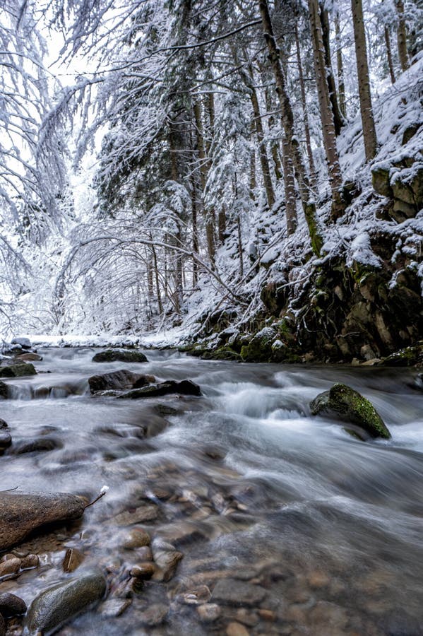 Forest Mountain Stream in Winter. Stock Image - Image of poland, hiking ...