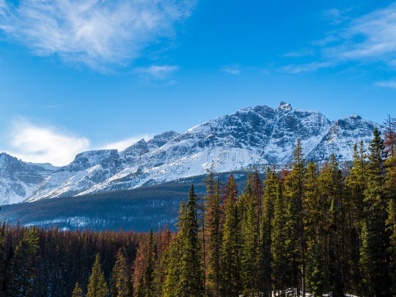 Forest and Mountain View in Alberta Stock Image - Image of outdoor ...