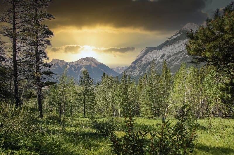Forest with Mountains Behind Outside the City Stock Image - Image of ...