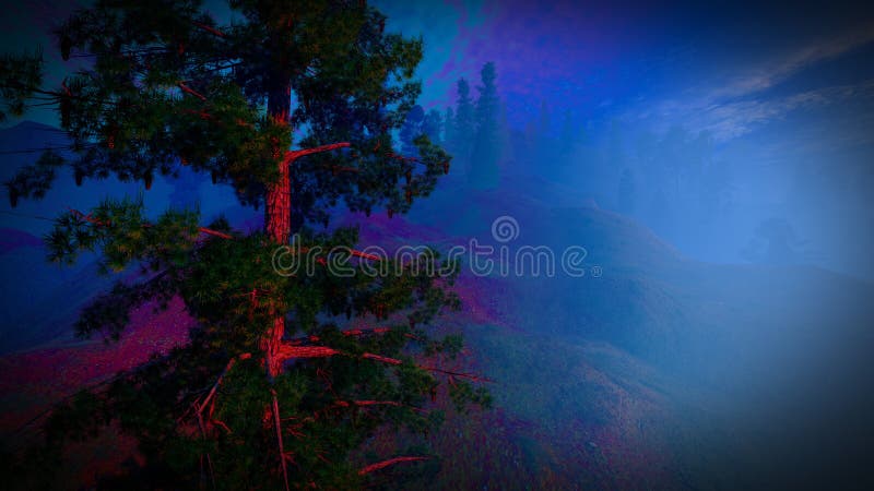 Forest in the Mountains at Dusk 3d Rendering Stock Photo - Image of ...