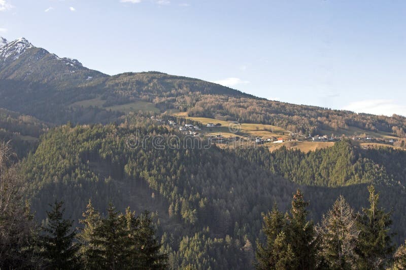 Forest on mountainside stock photo. Image of mountainside - 1891062