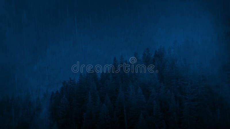 Rainfall on Misty Forest Hillside at Night Stock Footage - Video of ...