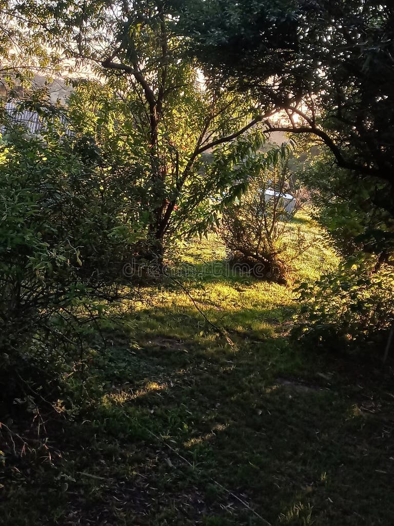 450,140 Cure Giels Stock Photos - Free & Royalty-Free Stock Photos from ...