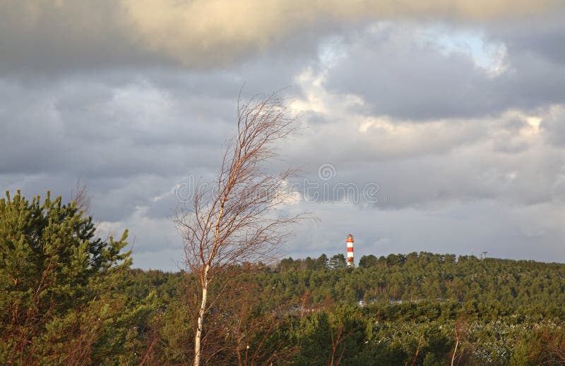 Nida Panorama stock photo. Image of neringa, environment - 269576
