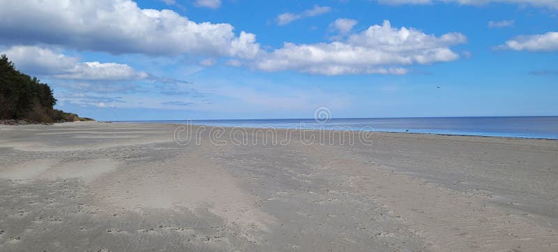 Forest Near Riga Bay stock image. Image of riga, forest - 246908353