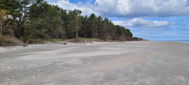 Forest Near the Sea in Latvia Stock Photo - Image of reservoir, sand ...