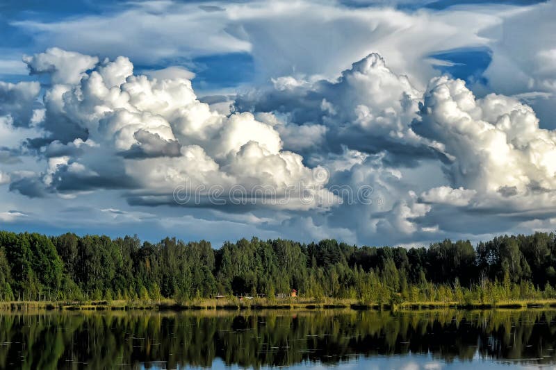 Forest near the water stock image. Image of fast, forest - 44051079