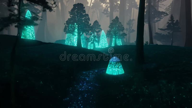 A Forest at Night with Glowing Trees and a Path Stock Video - Video of ...