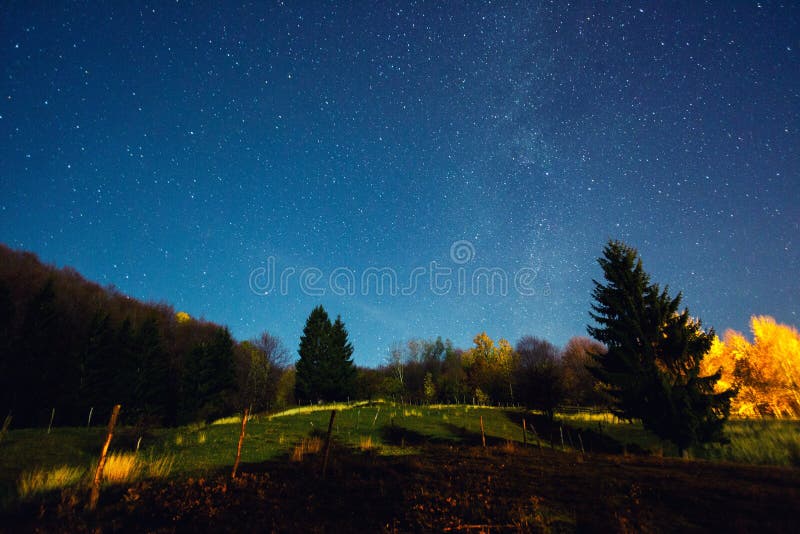 Forest night sky stock photo. Image of woods, stars, moonlight - 63803554