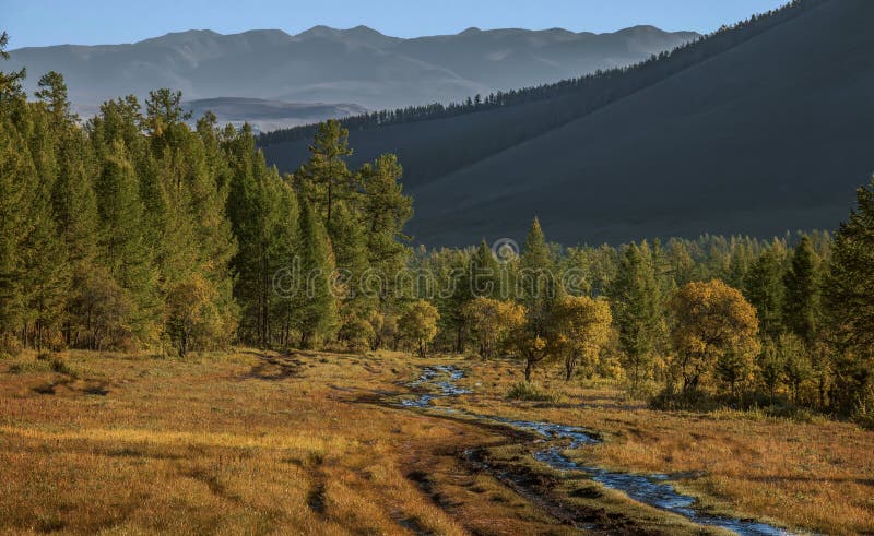 Forest of North Mongolia in Autumn Stock Image - Image of nature ...