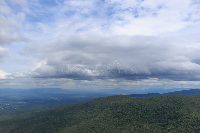 Forest in the Northern Provinces of Thailand Stock Photo - Image of ...