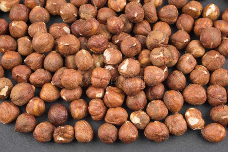 Forest nuts stock image. Image of autumn, forest, green - 69049517