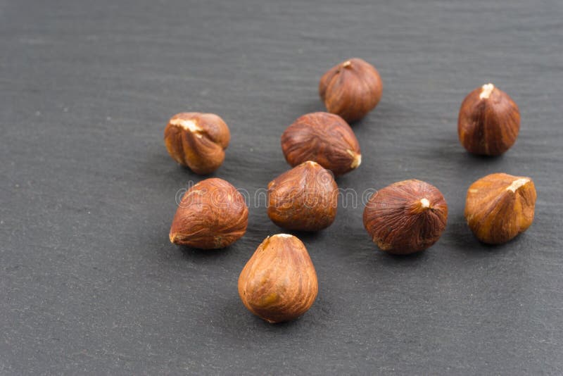 Forest nuts stock image. Image of background, nuts, season - 69049517