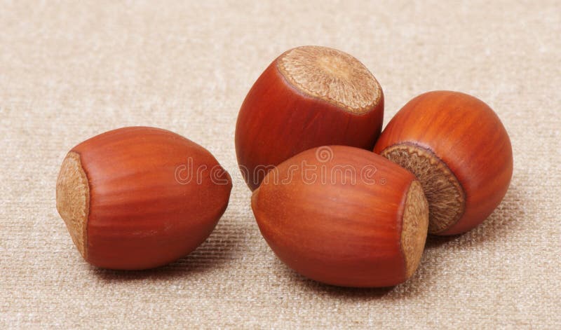 Forest nuts on burlap stock photo. Image of product - 128328610