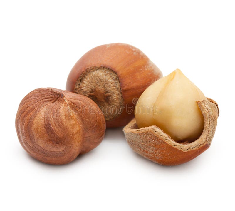 Forest nuts hazelnuts stock image. Image of shot, view - 37599367